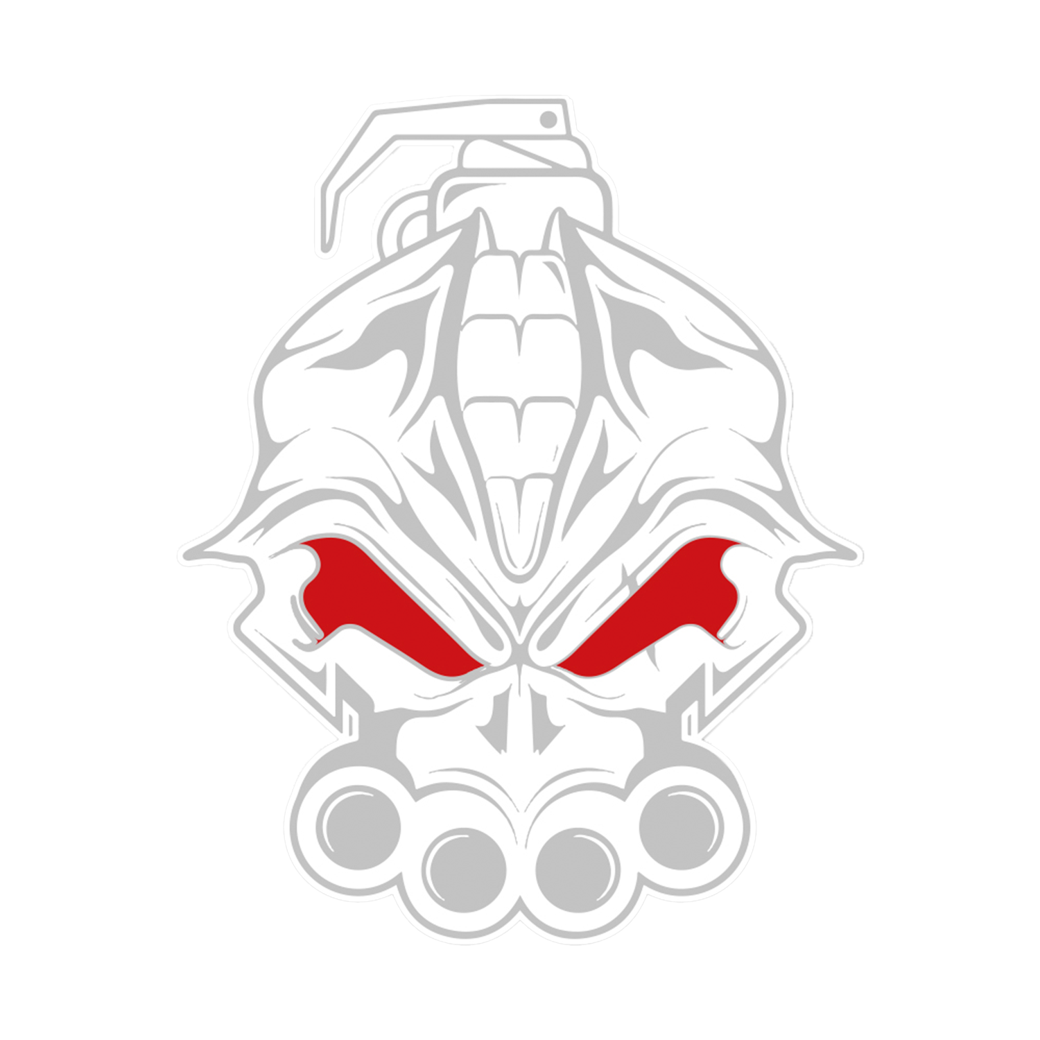 DRS logo car sticker